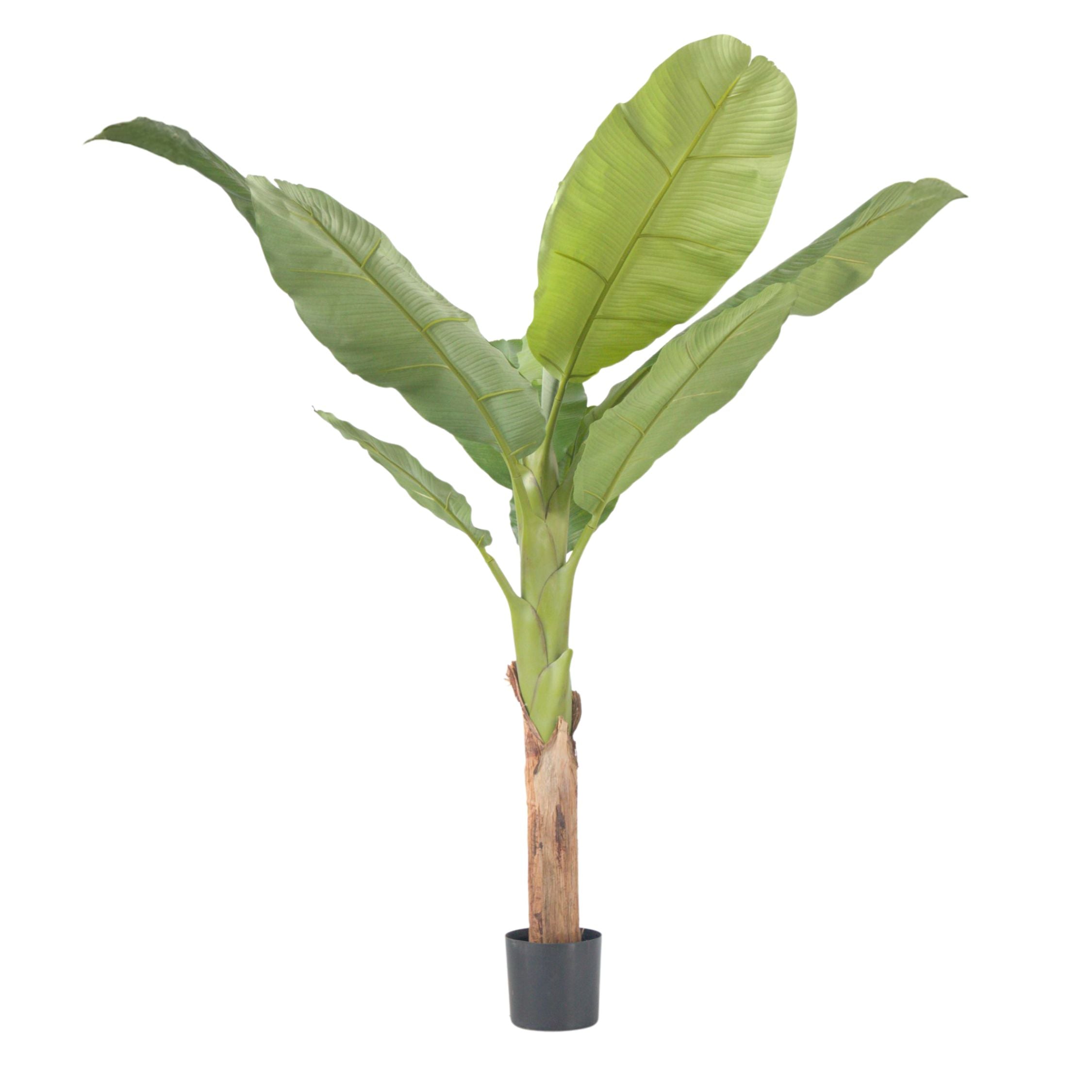 Plantă de bananier Musa artificială - Înălțime 150cm – Plant in a Box RO